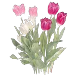 Flowers - getsticker.com - Stickers for WhatsApp and iMessage ...