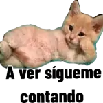 Que Borraste? - getsticker.com - Stickers for WhatsApp and iMessage ...