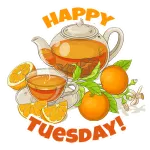 welcome - getsticker.com - Stickers for WhatsApp and iMessage ...
