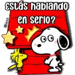 estas hablando en serio - getsticker.com - Stickers for WhatsApp and ...