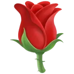 flowers🌹🌹 - getsticker.com - Stickers for WhatsApp and iMessage ...